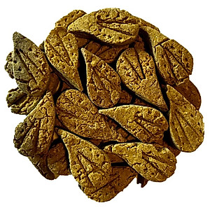 Gnawturals Oven Baked Cookies | Cricket Crunch | All Natural Small Artisan Batches, Packed with Sustainable Protein & Omegas | Ideal Treat for Food Sensitivities (40 Count, Peanut Butter)