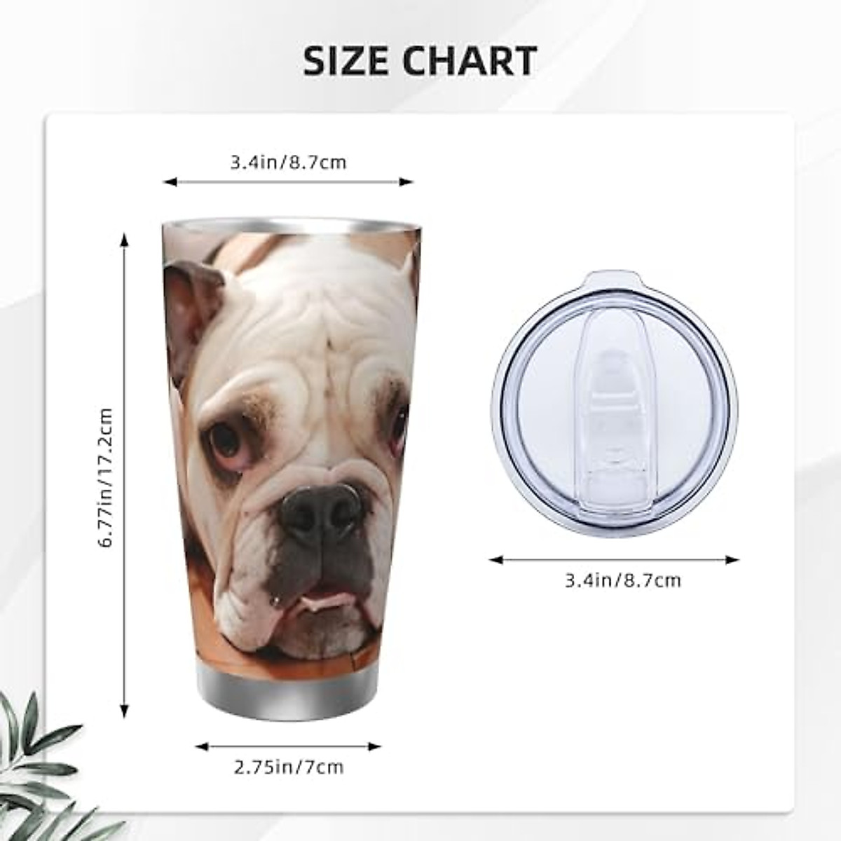 NHJKLWQSZ Lazy Dog Puppy 20oz Stainless Steel Tumbler With Lid And Straw, Double Wall Vacuum Insulated Coffee Mug Travel Cups Leak-Proof Lid For Hot And Cold Drinks, Metal Straws And Brush