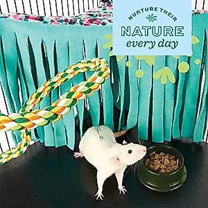 Oxbow Enriched Life Small Animal Toys - Run & Hide Play Toy for Syrian & Large Breed Hamsters (10 inch)