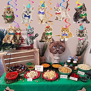20Pcs Cat Hanging Swirls Decorations Cat Kitten Birthday Party Decorations Baby Cat Swirl Decorations for Cat Lover Kids Pet Cat Theme Birthday Party Pet Adoption Party Supplies
