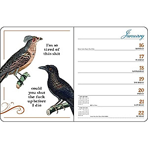 Effin' Birds 12-Month 2023 Monthly/Weekly Planner Calendar