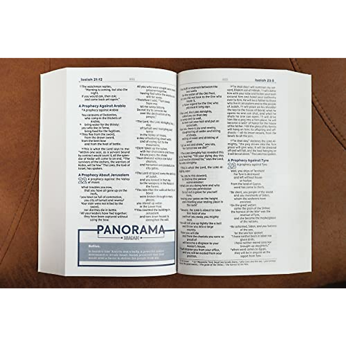 NIV, Teen Study Bible (For Life Issues You Face Every Day), Paperback, Comfort Print