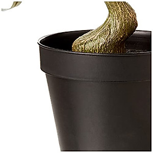 Amazon Brand - Stone & Beam Artificial Olive Tree with Plastic Nursery Pot, 2.2 Feet (26.5 Inches) / Small, Indoor