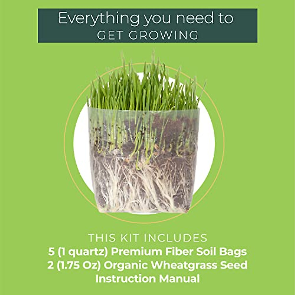 Window Garden Kit Cat Grass for Indoor Cats (3 Pack) - Easy to Grow Kitty Grass Kit, The Purr-FECT Catnip Growing Kit with Planter, Plant Kit Includes Organic Non GMO Wheatgrass Seed and Fiber Soil.