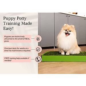 DoggieLawn Real Grass Puppy Pee Pads- 24 x 20 Inches - Perfect Indoor Litter Box for Dogs - No Mess, Easy-to-Use - Potty Training for Pets - Eco-Friendly Disposable Bathroom with Real Living Grass