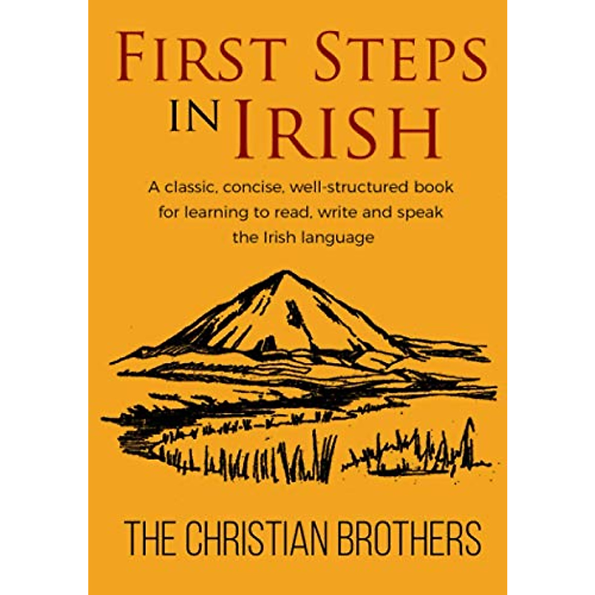 First Steps in Irish: A classic, succinct, book for learning to read, write and speak the Irish language