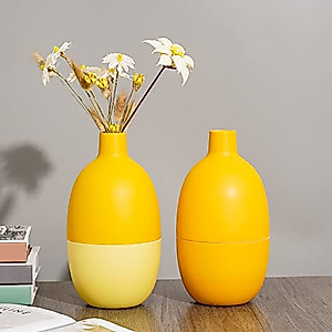 PROGUP Yellow Vase for Home Decor, Modern Rustic Farmhouse Decor,Boho Vases Set of 2,Decorative Vase for Pampas Grass & Dried Flowers,Table, Bookshelf, Mantel and Entryway Decor