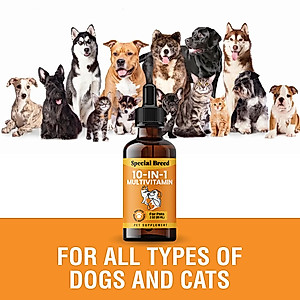 10-in-1 Liquid Multivitamin for Dogs and Cats, 2 Ounce Multi Vitamin Supplement, Vitamin for Dogs, Vitamins for Cats, with Glucosamine & Cranberry, 2 oz