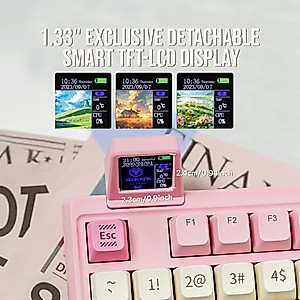 EPOMAKER RT100 97 Keys Gasket BT5.0/2.4G/USB-C Mechanical Keyboard with Customizable Display Screen, Knob, Hot Swappable Socket, 5000mAh Battery for Win/Mac(RT100 Pink, Sea Salt Silent Switch)