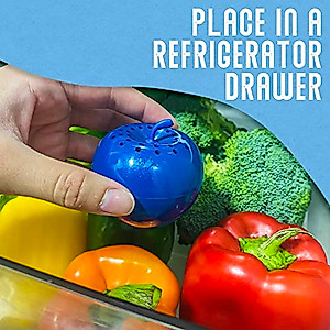 Bluapple 1-Year Carbon Refill Kit - Keep Fruits & Vegetables Fresh Longer & Help Absorb Odors, 8 Packets with Carbon, Fruit & Vegetable Storage, Ethylene Gas Absorber for Fridge, Made in USA