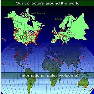 SOLD Smoky Mountain Autumn, Landscape by Internationally Renowned Painter Yary Dluhos