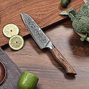 KINGOD 5 Inch Santoku Knife - Japanese VG10 Steel Core - Ultra Sharp Blade - Ergonomic Wooden Handle - Kitchen Essentials
