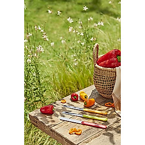 ARCOS Paring Knife Set of 3 Pieces 4 Inch Stainless Steel. Colorful Kitchen Knives for Peeling Fruits and Vegetables. Ergonomic Polypropylene Handle. Serie B-Line. Color Orange, Red and Green.