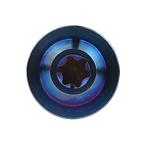 Wanyifa Titanium M4 M5 15 17 20mm Self Tapping Screw Torx Head Motorcycle Bolt Pack of 4 (M4x15mm, Burnt Blue)