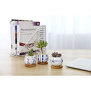 T4U 2.5 Inch Ceramic Succulent Planter Pot with Bamboo Saucer Set of 3, Cactus Plant Pot Flower Pot Container Planter Gift for Home Office Indoor Decoration Blue and White Pots