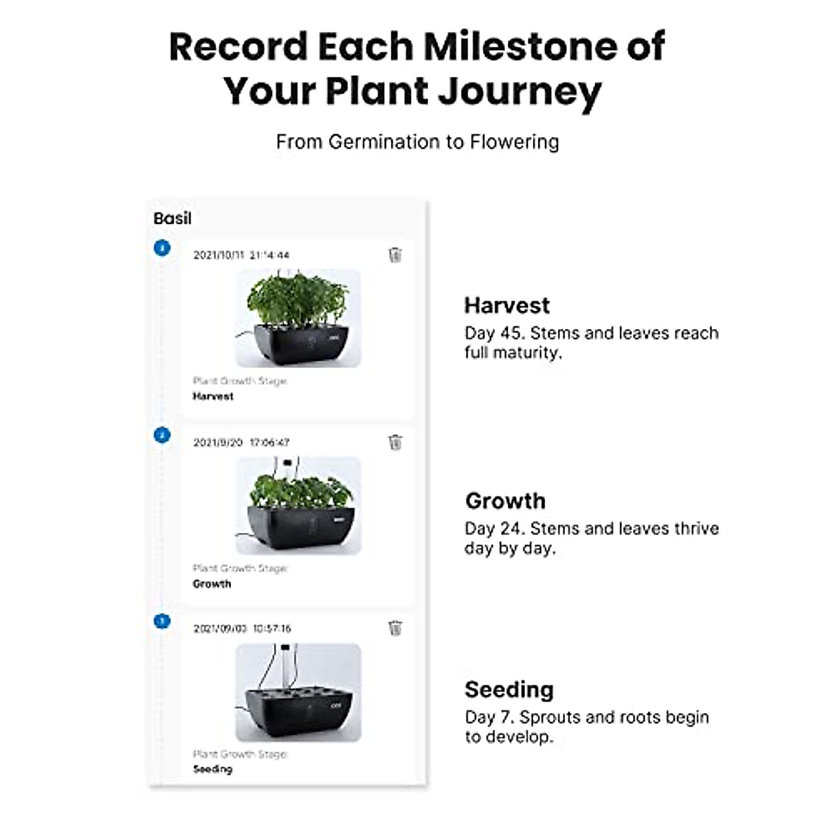 iDOO WiFi 12 Pods Hydroponic Growing System with 6.5L Water Tank, Smart Hydro Indoor Herb Garden Up to 14.5", Plants Germination Kit with Pump System, Fan, Grow Light for Home Kitchen Gardening, Black