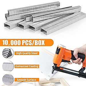 Kimsing 7106 22 Gauge 71 Series Galvanized Upholstery Staples, 3/8-inch Crown 1/4-inch Leg Length, Fasteners for Fine Wire Stapler (1 Box)