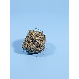 QWINEE Rabbit Chew Grass Ball Chewable Teeth Care Activity Play Toys for Bunny Rabbits Hamsters Guinea Pigs Gerbils Multicolor One Size