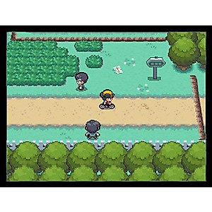 Pokemon HeartGold Version (Renewed)