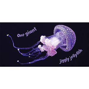 Big Beautiful Ocean – A Photographic Exploration – Perfect for Infants and Toddlers, Ages 0-3 – Nature and Science Photo Book