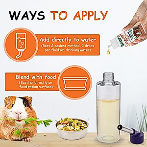 OASIS #80254 Vita Drops-Pure C for Guinea Pig, 2-Ounce, Packaging may vary