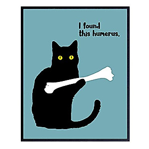Humorous Cat Wall Art - Decor for Home, Office or Apartment Decoration - 8x10 Picture Poster Makes Great Gift - Unframed Typography Photo Print