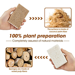 GREENTH PRO 10 Pack Nature Dish Sponge - Natural Kitchen Sponge - Coconut Fiber and Wood Cellulose Scrubber Sponge