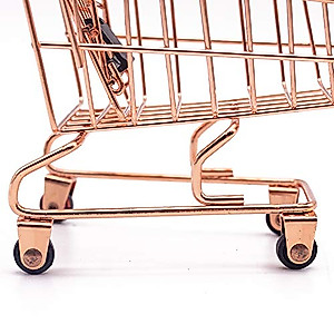 Shindel Mini Brands Shopping Cart Toy, 2PCS Shopping Day Grocery Cart Mini Supermarket Handcart Toy Shopping Carts