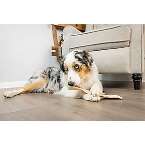 Barking Buddha Beef Cheek Slices Extra Thick All Natural Rawhide Alternative No Hide Premium Dog Chew Strips | Natural Beef | Small 5-6 Inch (10 Pack)