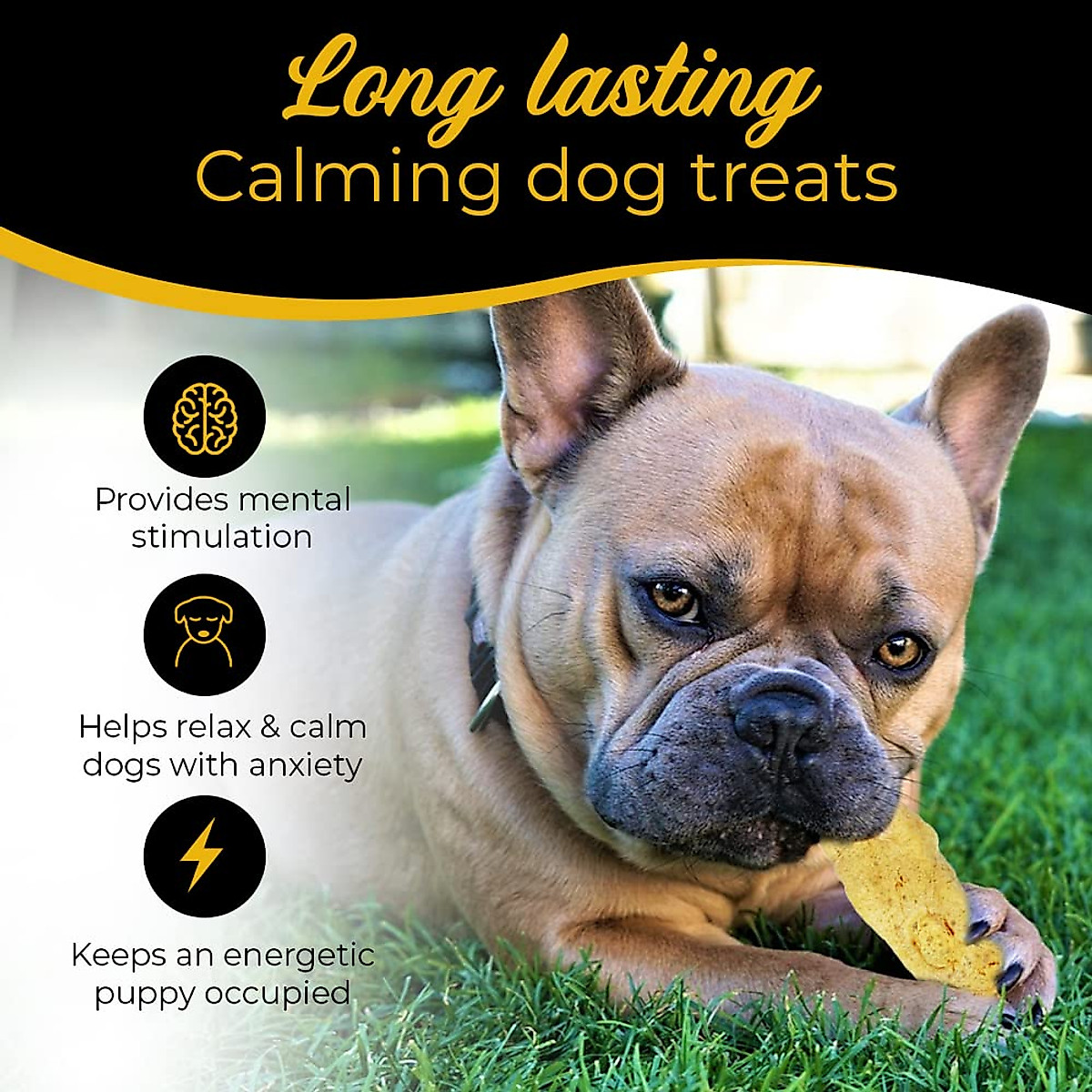 Cheesy100 Cheese Dog Chews| US-Crafted for Puppies & Dogs |6oz (3 pcs)| Softer Natural Alternative to Himalayan Dog Chews & Yak Chews| Salt & Rawhide-Free| Tastier Than Yak Cheese Himalayan Dog Chews