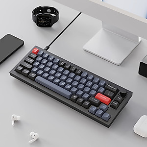 Keychron Q2 Wired Custom Mechanical Keyboard Knob Version, 65% Layout QMK/VIA Programmable Macro with Hot-swappable Gateron G Pro Red Switch Double Gasket Compatible with Mac Windows Linux (Black)