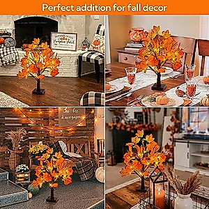 Woohaha 24LED Fall Tree Lighted Maple Tree,Thanksgiving Decoration Maple Leaf Table Tree,Timer Battery Operate Fall Decor Lights for Indoor Outdoor Holiday Autumn Harvest Xmas Party Home Decor