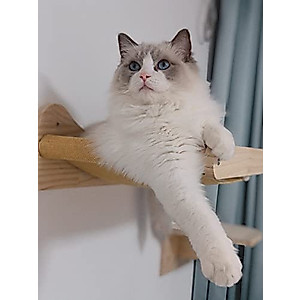 Cat Shelves and Perches Wall Mounted Indoor Cats Furniture Solid Wood Cat Wall House Set for Activity Climbers 5pcs/Set