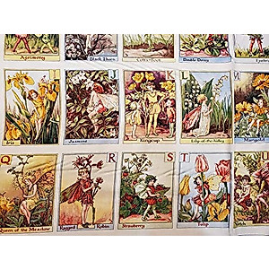 Alphabet Panel Flower Fairy ABC Fabric Michael Miller - 24 Inch Panel