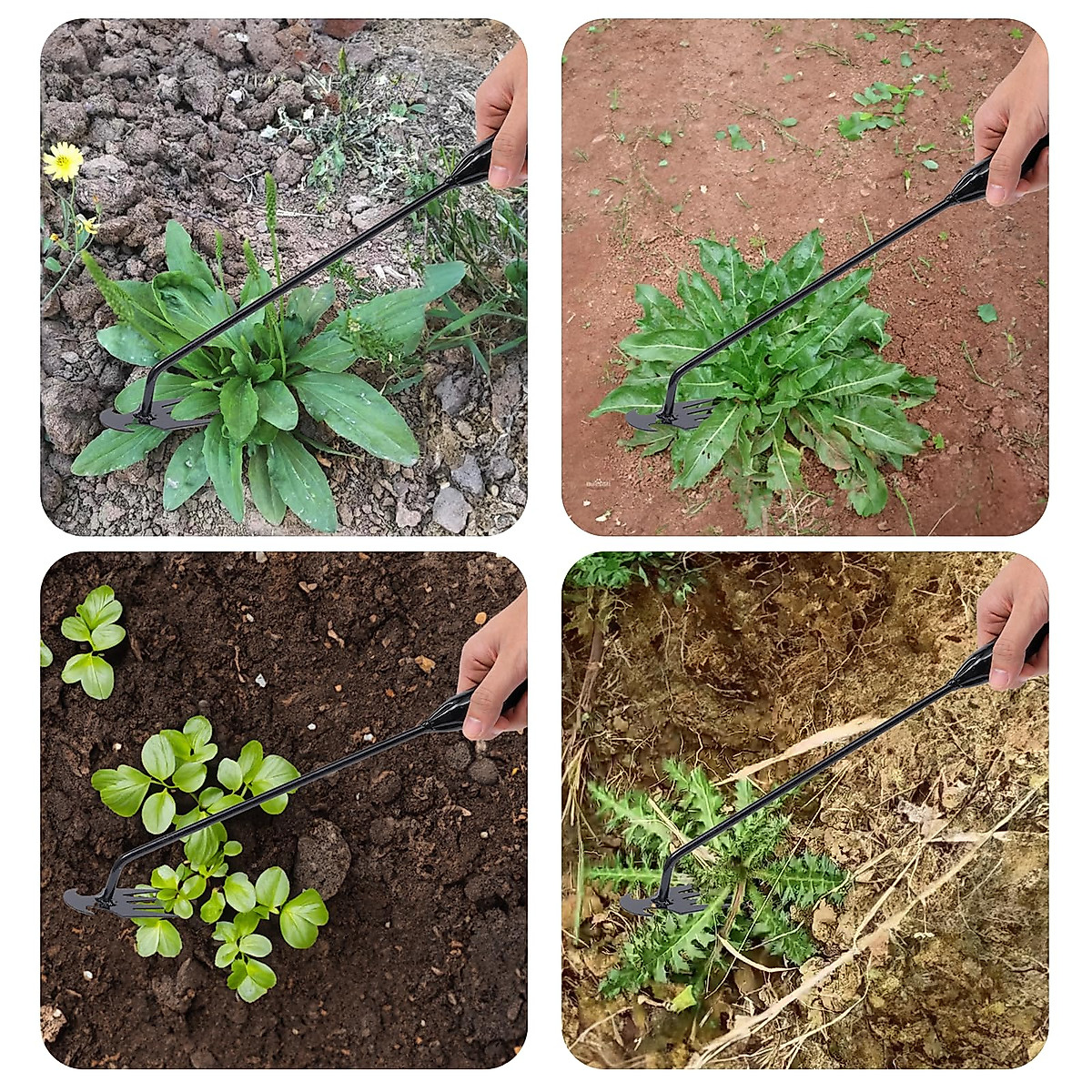 Weed Puller Tool Garden Weed Pulling Tool, Portable Garden Weeder Tool Uprooting Weeding Tool, 4 Teeth Manganese Steel Forged Hand Weeder for Vegetable Gardening Backyard Farm Planting & Weeding