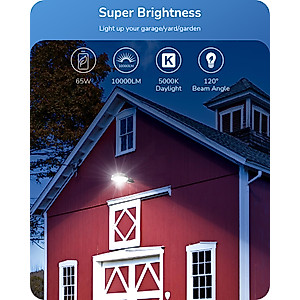 EDISHINE LED Barn Light, Dusk to Dawn Area Lights with Photocell, Outdoor Security Flood Lighting, 10000LM 65W 5000K Daylight, IP65 Waterproof Outdoor Flood Light for Farmhouse Garage Yard Street