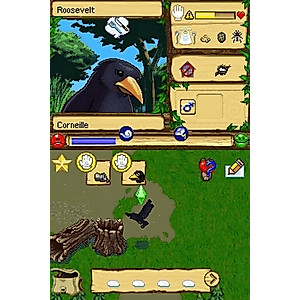SimAnimals - Nintendo DS