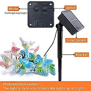 jindaaudio Solar Butterfly Lights Outdoor, Solar Powered String Lights, Led Butterfly String Lights, Solar Lights Outdoor Butterfly Garden, Butterflies Solar Lights Outdoor with Led Waterproof