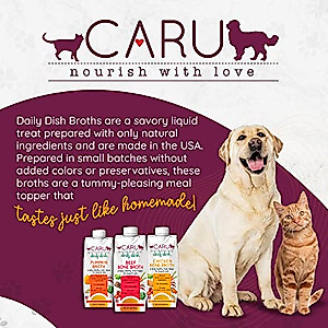 CARU - Daily Dish Pumpkin Broth Meal Topper for Dogs & Cats - Savory Pour-Over Broth - 1.1 lbs.