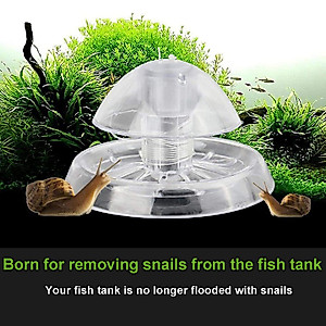 KVSERT 2 Pcs Snail Trap for Fish Tank Aquarium Plastic Clear Snail Trap Planarian Leech Catcher 6cm