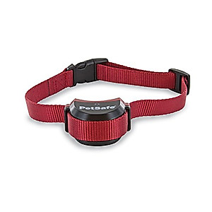 PetSafe Stay + Play Wireless Dog Fence for 2 Dogs: Large/Stubborn Dogs