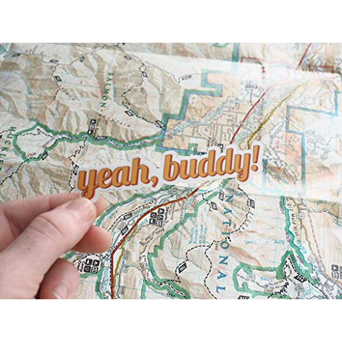 Yeah Buddy Sticker, Ronnie Coleman Body Building Gym Sticker for Hydroflask, Laptop, Water Bottle, Funny Philly Sayings, Jersey Shore Quotes