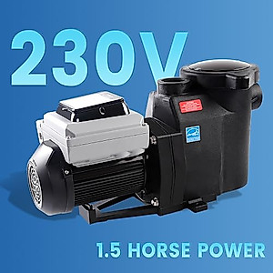 BLUE WORKS 1.5HP Variable Speed Pool Pump, Inground Swimming Pool Pump, 230V, 2 Years USA Warranty, BLPVS2015P