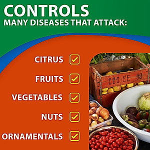 Monterey Liqui-Cop Concentrate