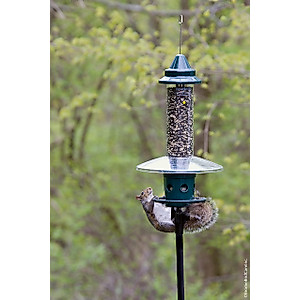 Squirrel Buster Plus Squirrel-proof Bird Feeder w/Cardinal Ring and 6 Feeding Ports, 5.1-pound Seed Capacity, Adjustable, Pole-mountable (POLE ADAPTOR SOLD SEPARATELY), Green