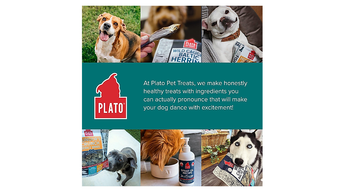 PLATO Air-Dried Fish Dog Treats for Skin & Coat Health