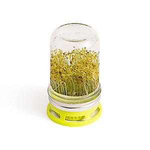 Jarware Mason Jar Lid, Seed Sprouting Lids For Wide Mouth Mason Jars, Set of 2