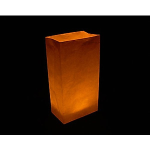 Fortune Products LL-8A Luminary Light, 2 3/4" Length, 1 1/2" Width, 3/4" Height, 8 LEDs, Amber LEDs with Black Base