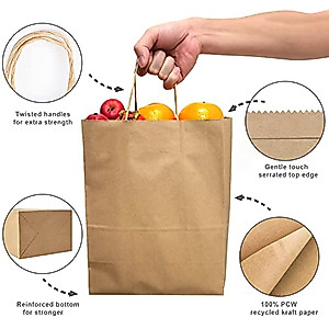 Brown Paper Bags 8x4.25x10.5 100Pcs Gift Bags Medium Size Paper Bags with Handles, Kraft Bags Bulk, Paper Shopping Bags, Gift Bags, Retail Bags, Paper Bags for Wedding Christmas Valentine Birthday Business