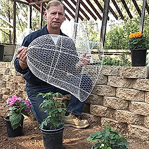 HEIDI & OLAV 3 Pack 20" & 3 Pack 14" Chicken Wire Cloche for Plants Squirrel Proof Metal Plant Cover Cage Garden Animal Protection Metal Plant Cage Protector Dome Rabbit Bunny Guard